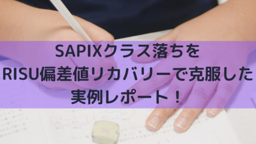 SAPIXクラス落ちをRISU偏差値リカバリーで克服した実例レポ | 知育玩具・知育教材 賢い子に育てる環境作り